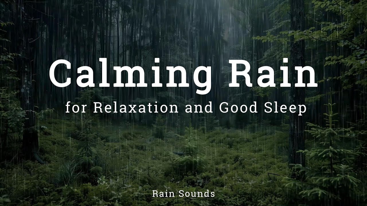 Calm Rain for Relaxation and Good Sleep. The Soothing Sound of the ...