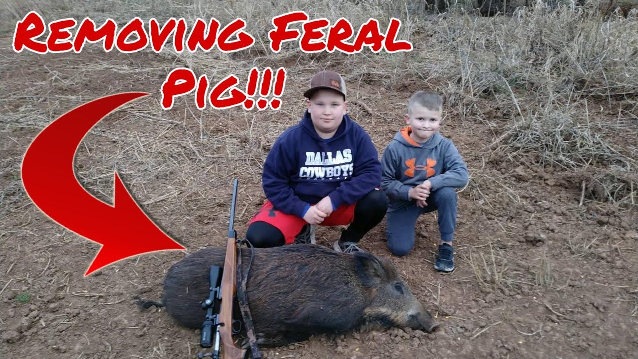 10 Yr Old Hunts Invasive Feral Pig!! - YouTube