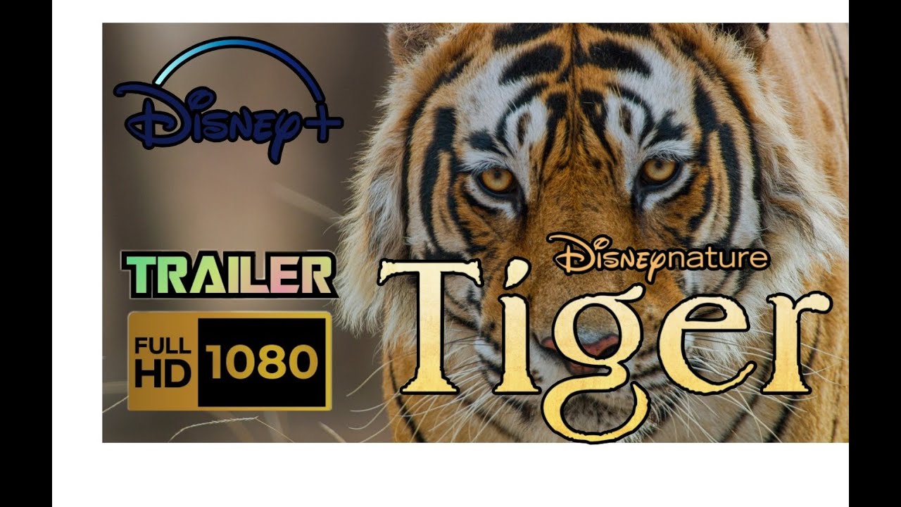 Tiger (2024) | Tráiler Subtitulado Español Latino | Disney+ - YouTube