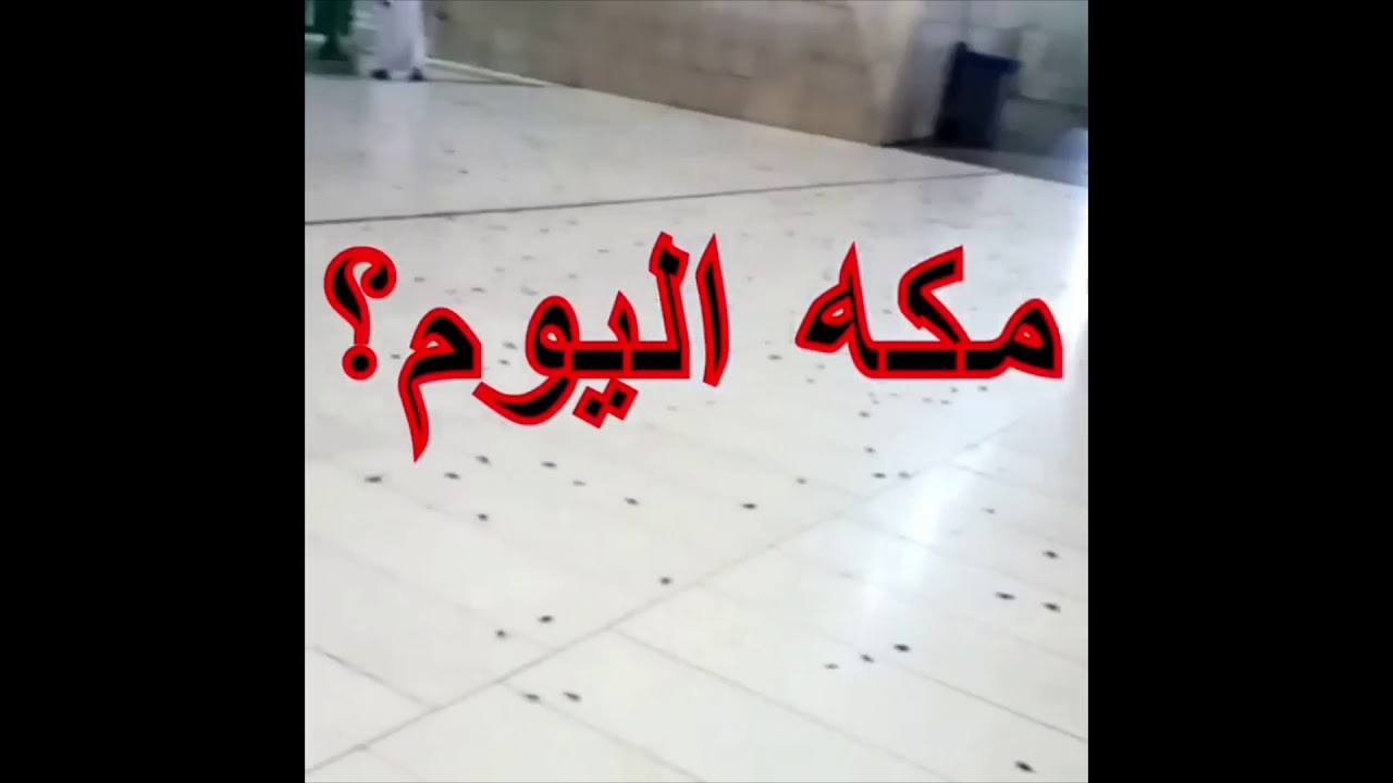 Flying cockroaches, Grasshopper or swarms attacked Makkah Saudi Arabia ...