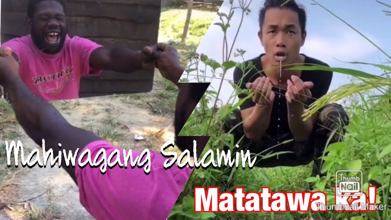 Trending Funny Videos Tiktok Compilation - YouTube