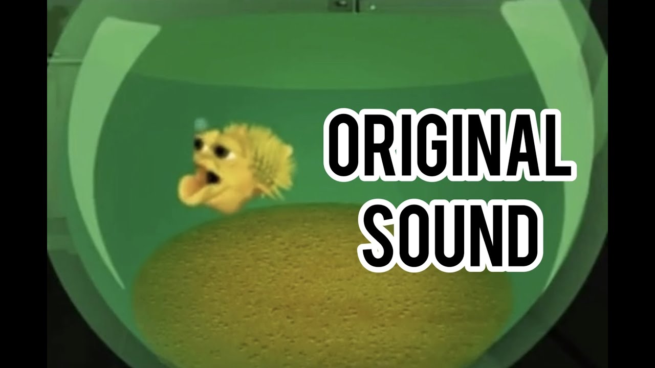 4K 60FPS Original sound Yellow Singing Pufferfish - YouTube