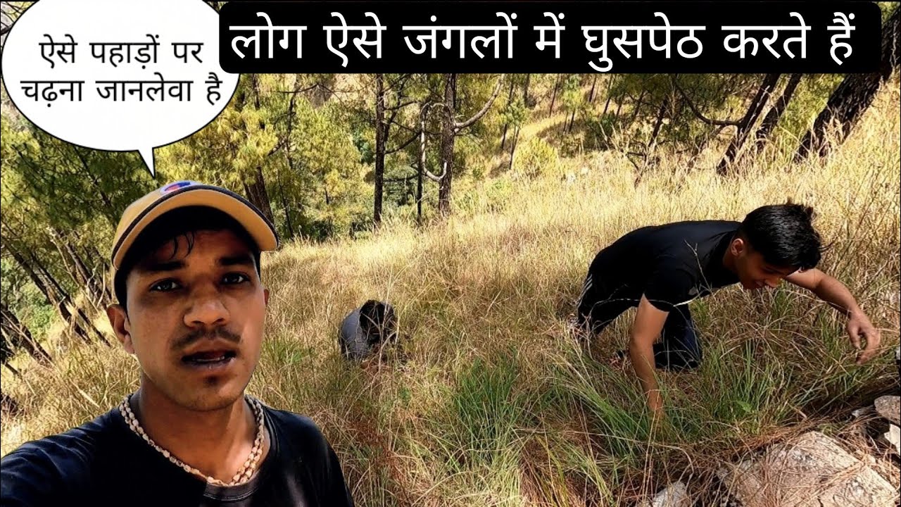 लोग ऐसे जंगलों में घुसपेठ करते हैं। ऐसे पहाड़ों पर चढ़ना जानलेवा है ...