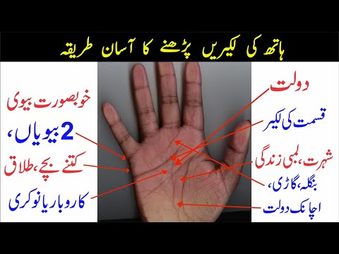 Reality Of This Line In Your Palm | Useful Information Abut Human Hand Line | Best Urdu Tv