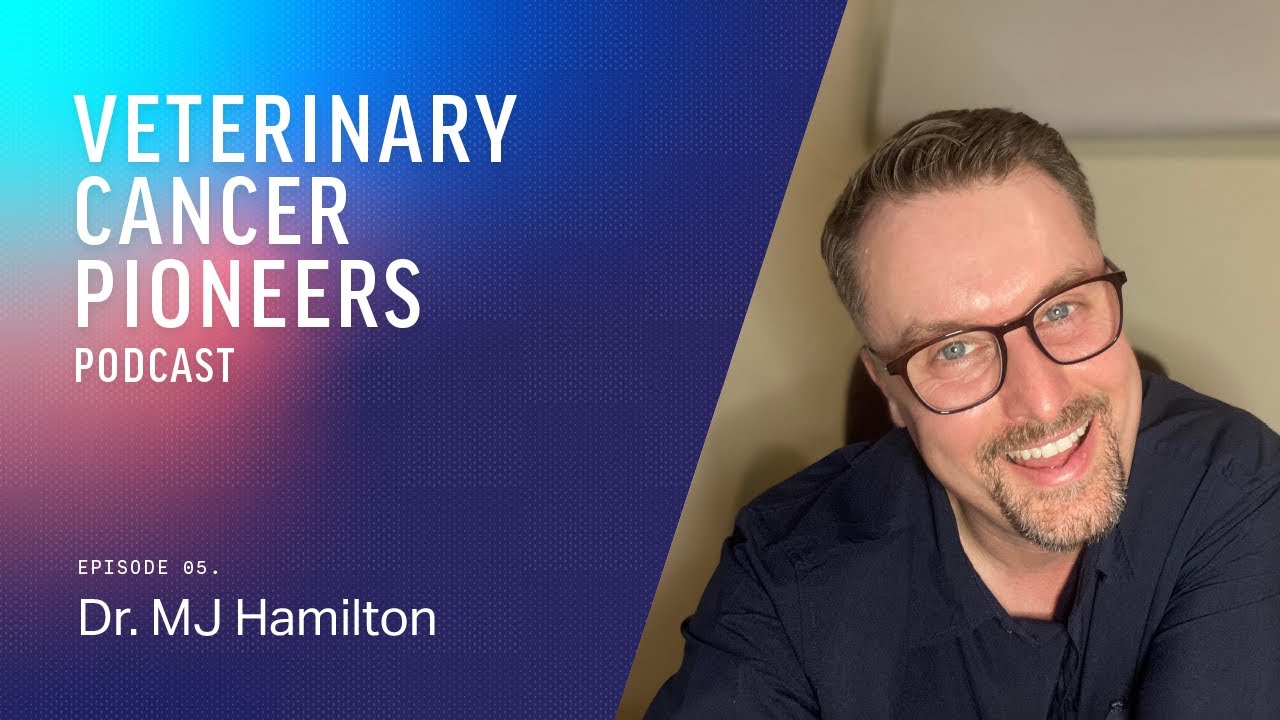 Dr. MJ Hamilton | World's First Mobile Veterinary Oncology | Veterinary Cancer Pioneers Podcast ...