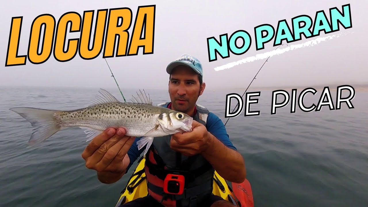 ⚡ PESCA CURRICÁN KAYAK: CURRICAN COSTERO de SUPERFICIE con NIEBLA 🌫️ ...