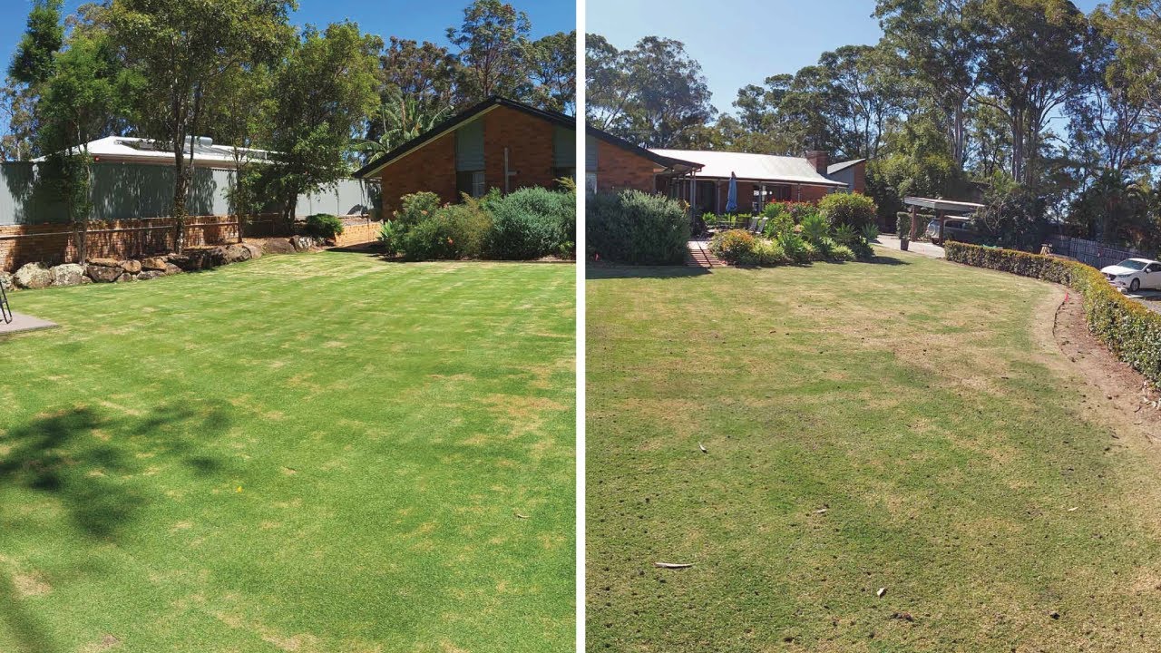 Spring Lawn Renovation : Aerating Your Lawn | Jimboomba Turf - YouTube