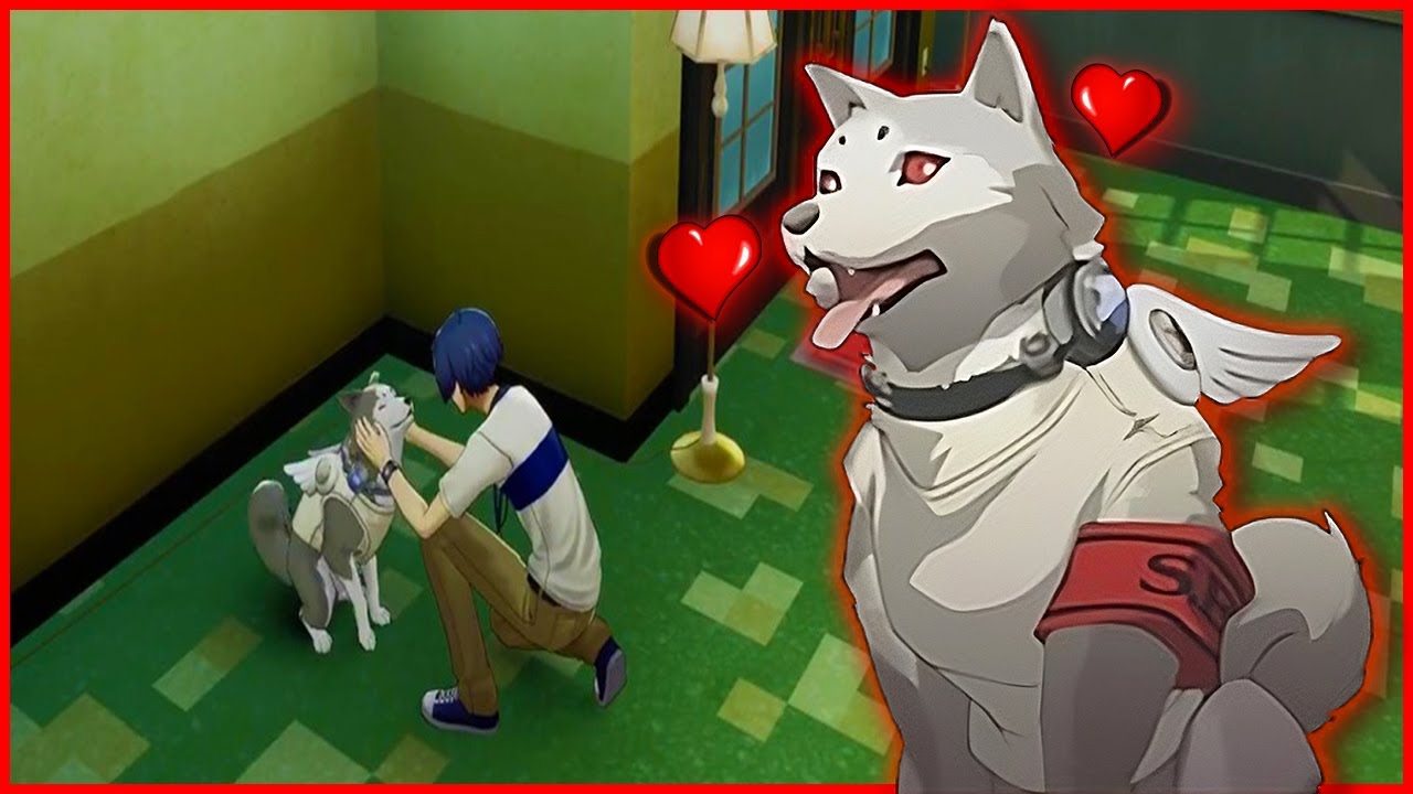 Persona 3 Reload Will Allow Us To Pet Koromaru! - YouTube
