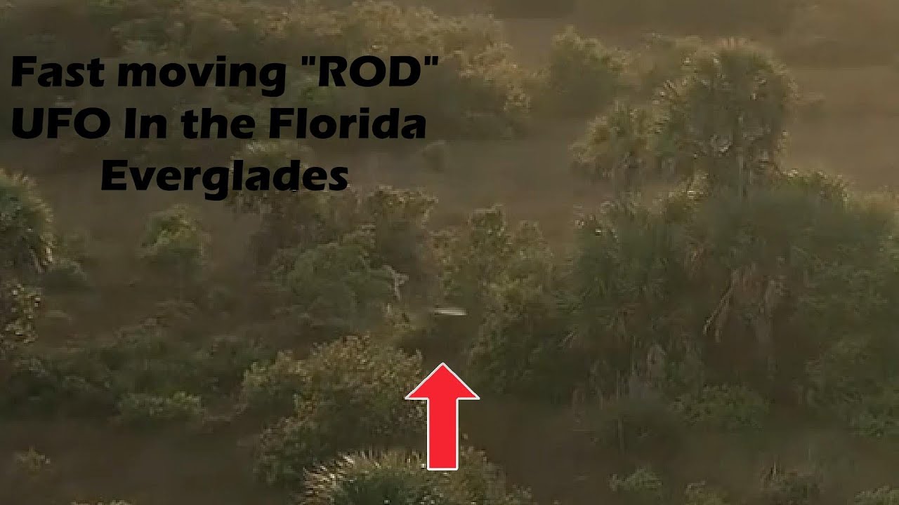 Excellent Drone capture of a Skyfish Rod UFO! Everglades South Florida ...