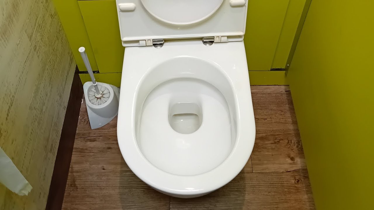 Toilet at Seaworld Aquarium Hastings - YouTube