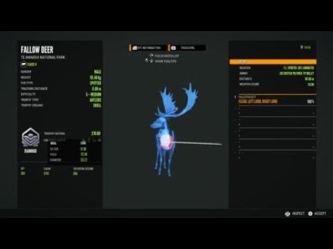 theHunter: Call of the Wild diamond fallow deer - YouTube