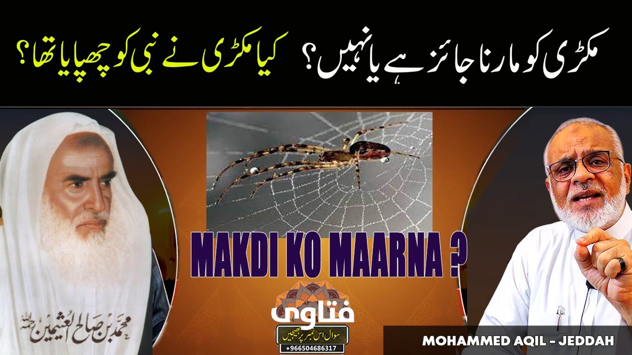 Makdi Ko Marna Kaisa Hai | Nabi Ko Chupane Wala Qissa ? Makdi Ka Jala ...