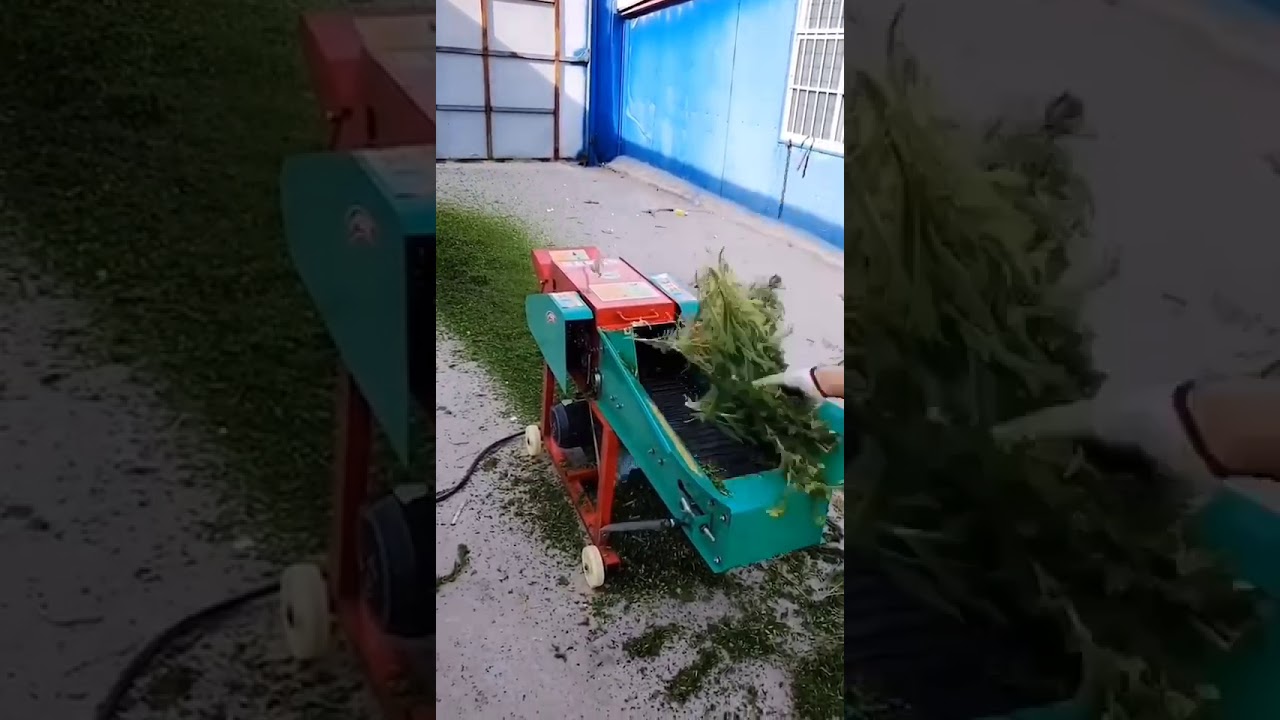 Grass cutting machine grass shredder grass chopper - YouTube