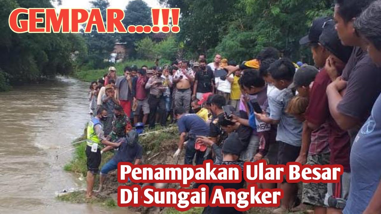 GEMPAR...!!! Terliat Jelas Penampakan Ular Siluman Di Sungai Angker ...