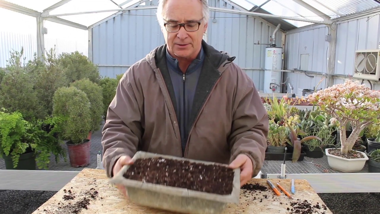 Sowing with broadcast and drill method - YouTube
