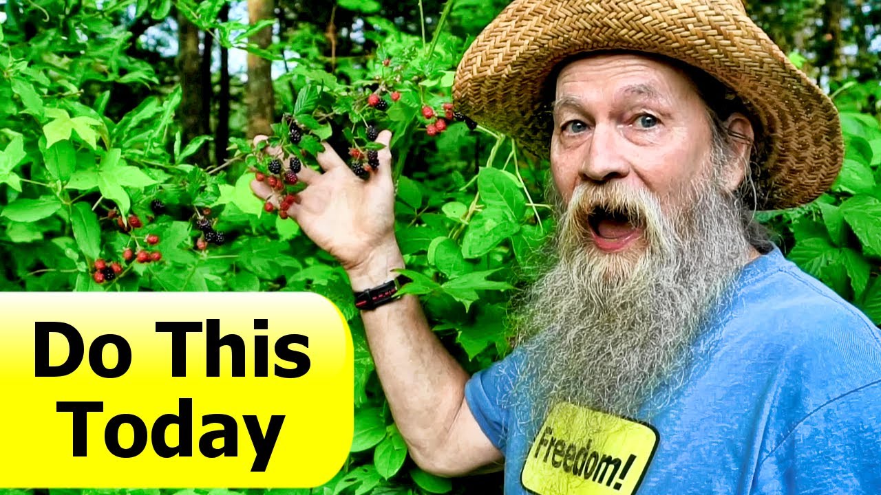 The Struggle Of Self Sufficient Life In The Modern World YouTube the-struggle-of-self-sufficient-life-in-the-modern-world-youtube