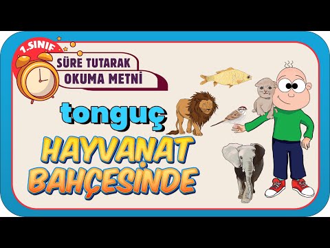 tonguç Hayvanat Bahçesinde 🐒 1.Sınıf Süre Tutarak Okuma Çalışması