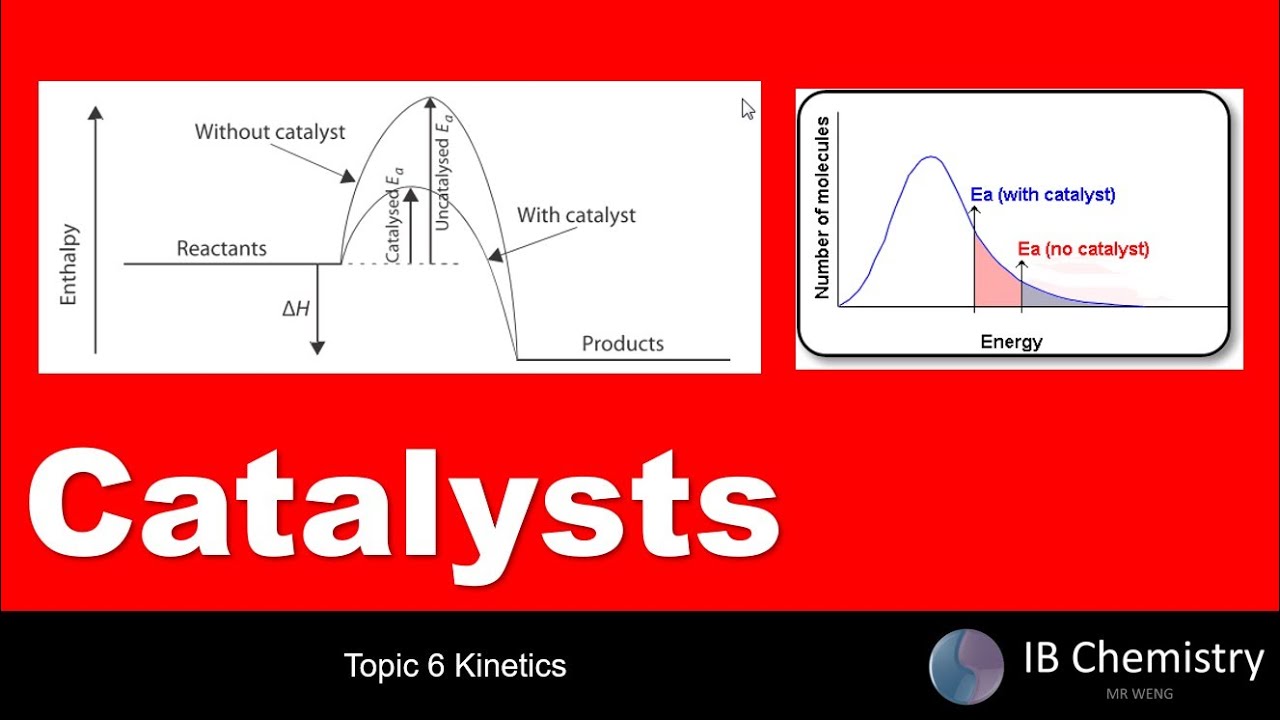 Catalysts - YouTube