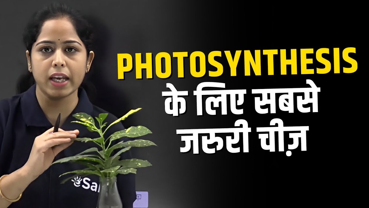 Chlorophyll is necessary for Photosynthesis | Amazing Science ...