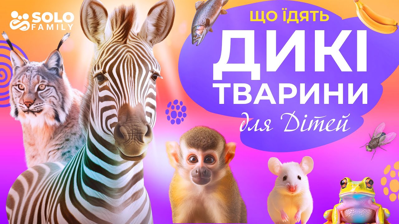 Що їдять дикі тварини Що їдять тварини Хто що їсть Їжа диких
