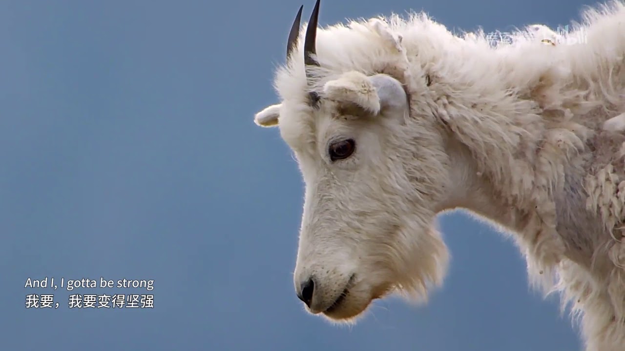 Nothing is insurmountable - YouTube