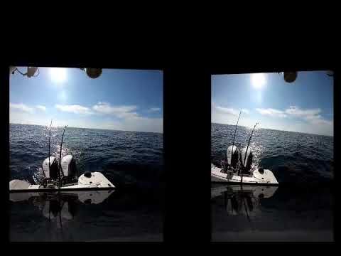 Tuna Fishing on the Coimbra Wreck - YouTube