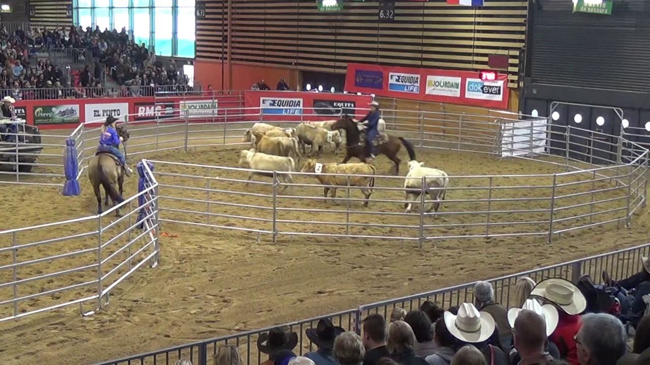 2016-10-28 MASTER RANCH SORTING EQUITA LYON - YouTube