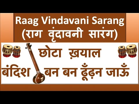 Raag Brindavani Sarang(राग वृंदावानी सारंग) by Rajeev Ranjan Sir | 1 ...