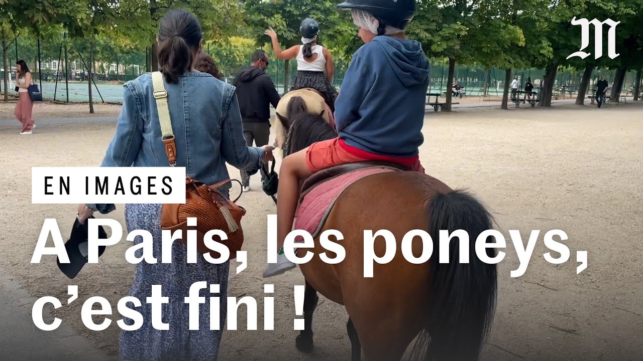 Paris : les balades à poney bientôt supprimées des parcs - YouTube