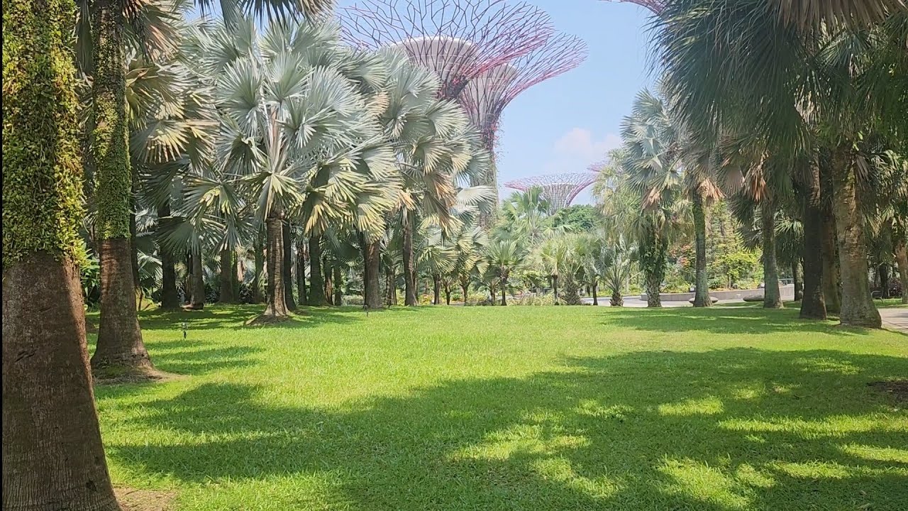 A Walk In Tropical Garden🚶|| Silver Garden, Gardens By The Bay ...