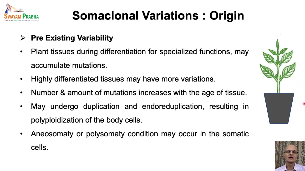 Somaclonal Variations - YouTube