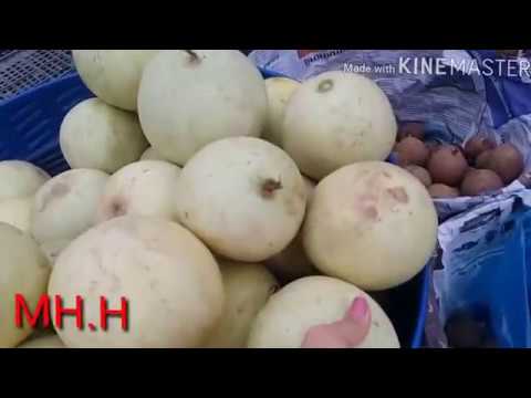 Maiv huas hawj QHIA UA ZAUB MOV NOJ - YouTube