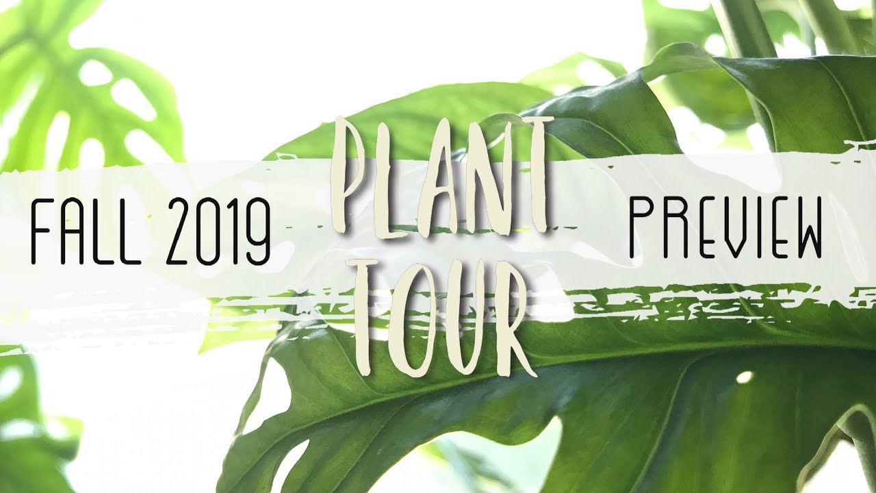 Plant Tour Preview - Fall 2019 (Relaxing) - YouTube