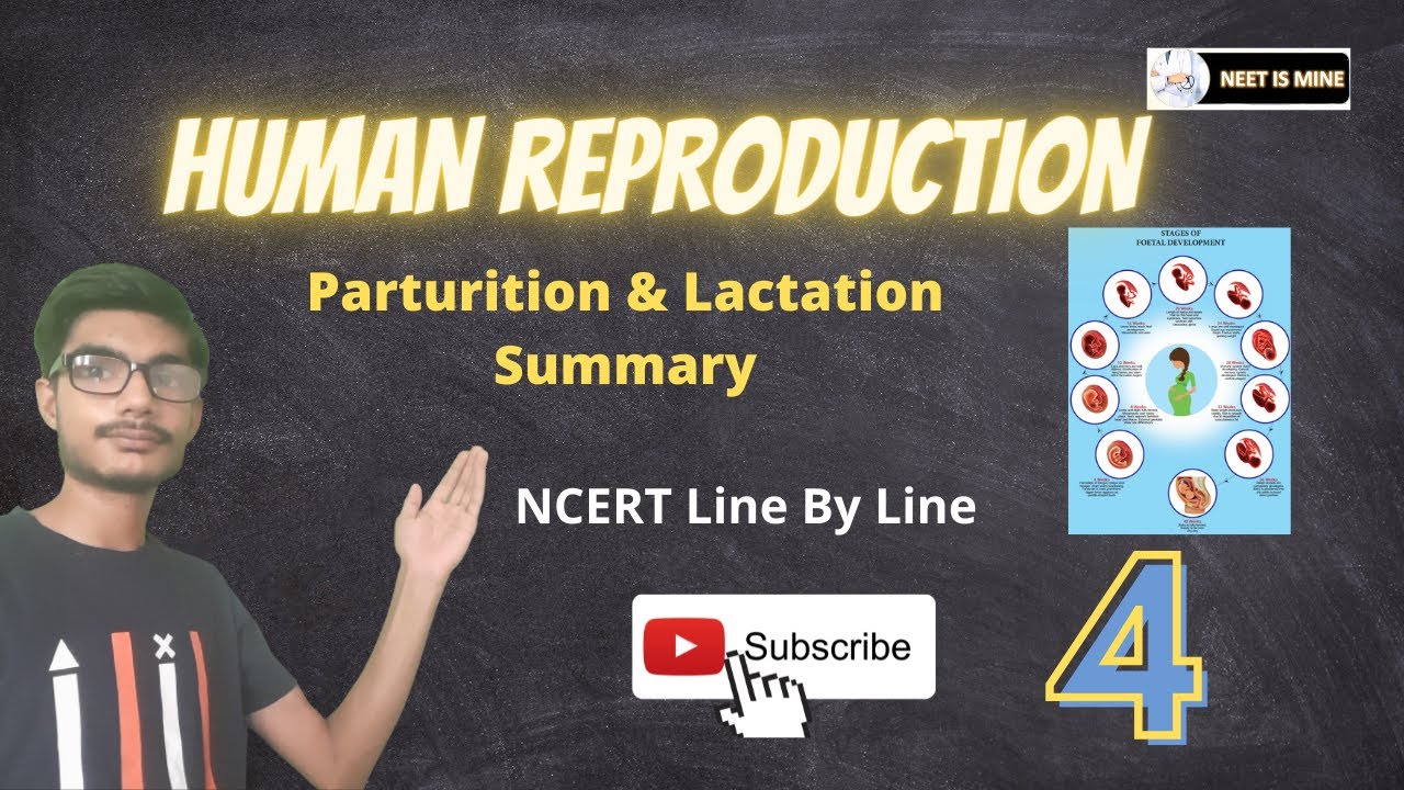 Parturition & Lactation | Summary | Human Reproduction | Part 4 | class ...