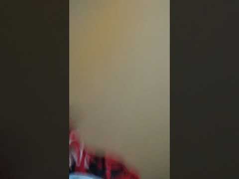 Iwak Tongkol iwak kontol