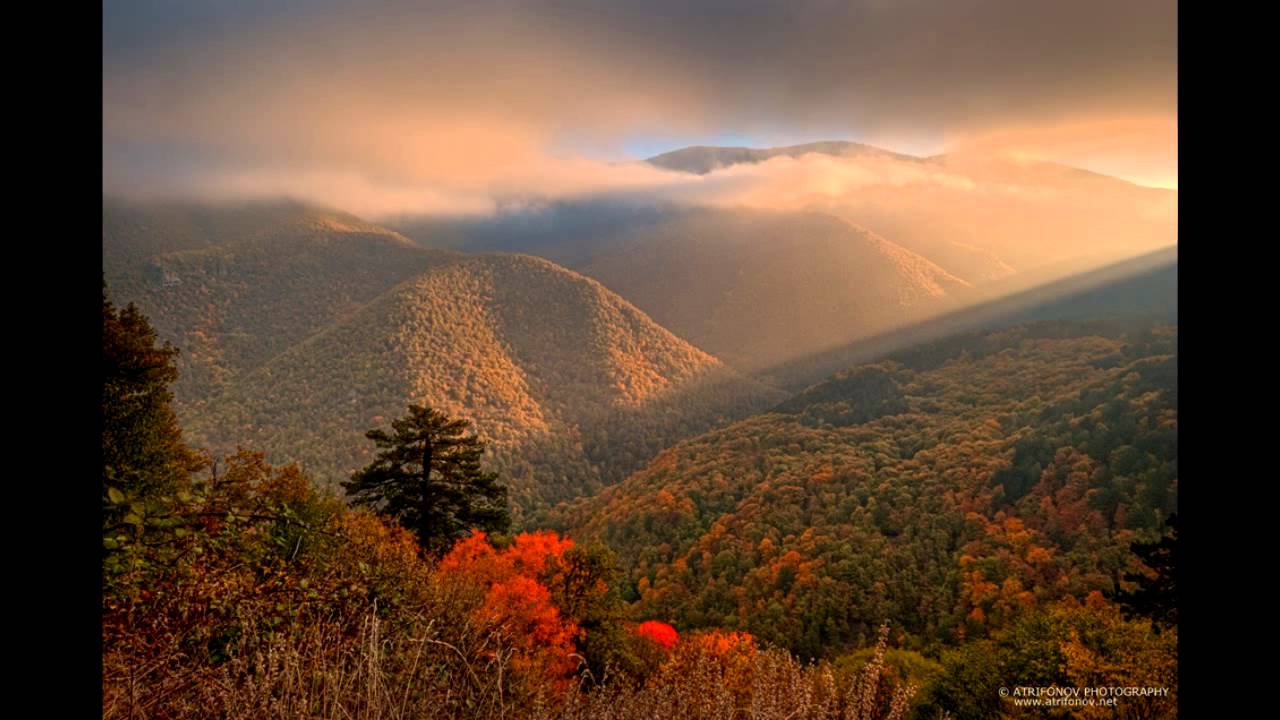 Пиленце, пъстро славейче | Pilence pustro slaveiche - YouTube