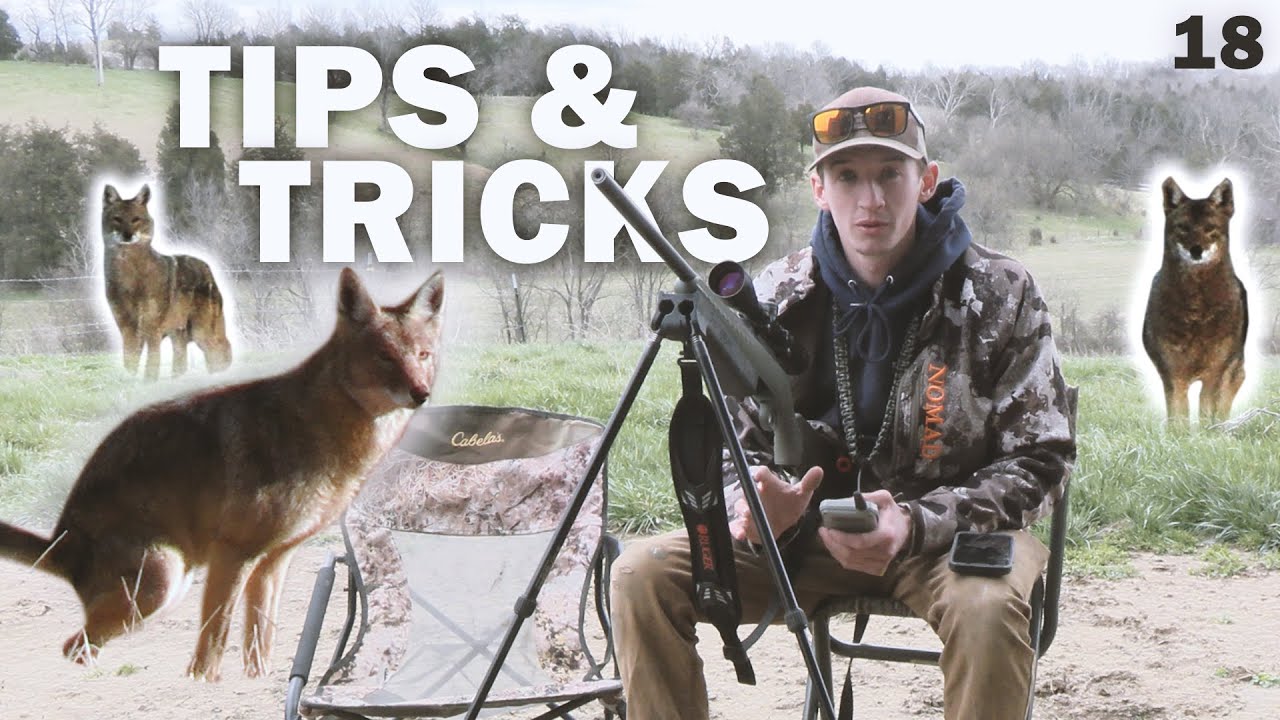 COYOTE HUNTING TIPS & TRICKS, LESSONS LEARNED + !!COMMUNITY NEWS ...