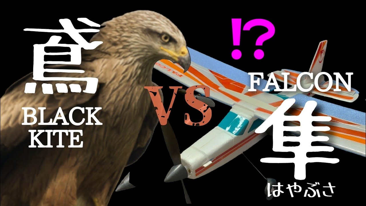 FC-138 FALCON ゴム動力機を3ch改造 58g フライト動画⑥ ラジコン飛行機 - YouTube