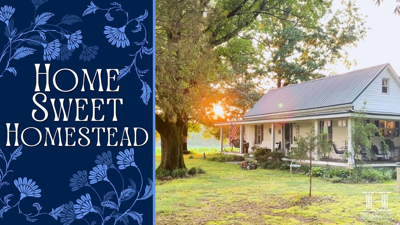Home Sweet Homestead ~ Let's Take a Yard Tour!! - YouTube