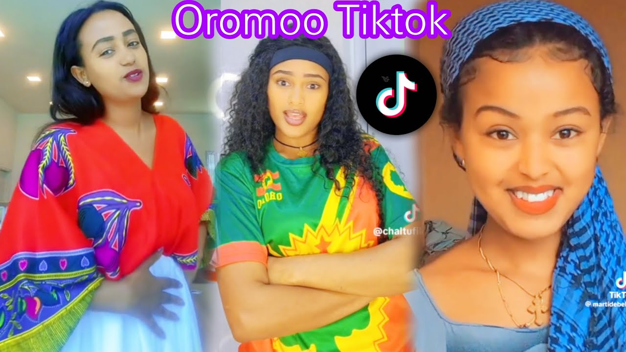 Sirbaa Afaan oromo music haraa,,2023 - YouTube