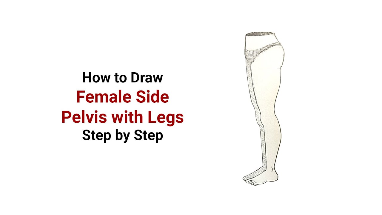How To Draw Female Side Pelvis with Legs #pelvis #girldrawing# ...