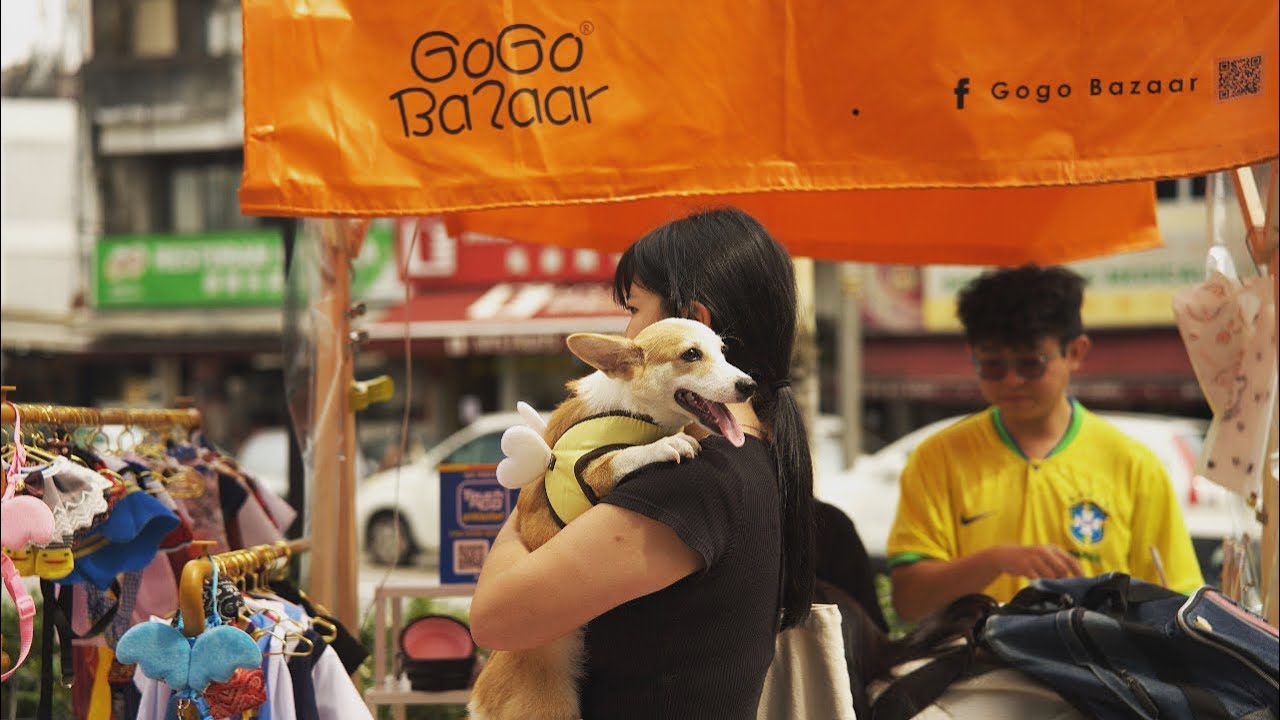 Pet Friendly Market by GoGo Bazaar - YouTube