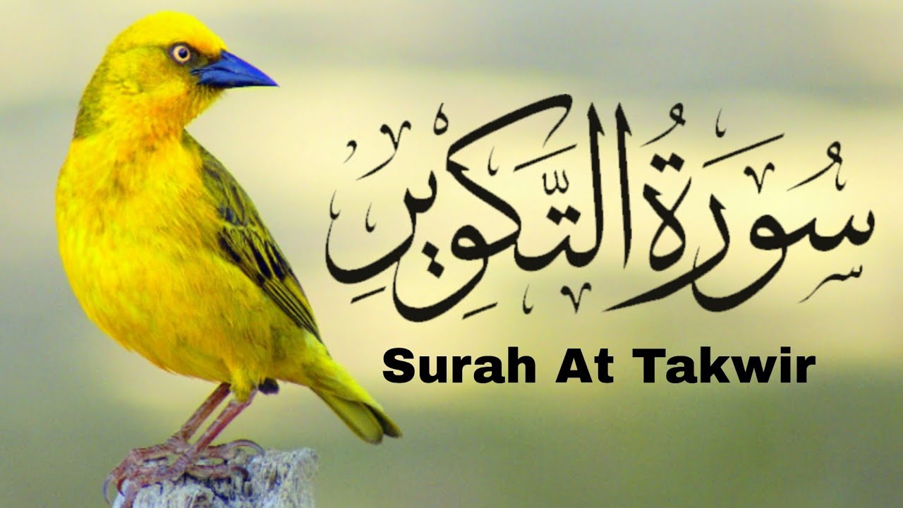 Surah At takwir Full.most beautiful recitation - YouTube