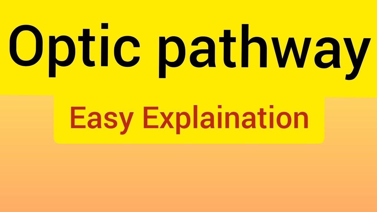 Optic Pathway Made Easy For Fcps Part 1+JCAT - YouTube