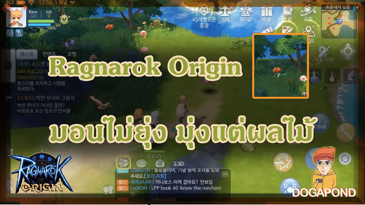 Ragnarok Origin (tencent) - เก็บผลไม้แลกกล่องคราฟไอเทมได้ + เงินด้วยนะ ...