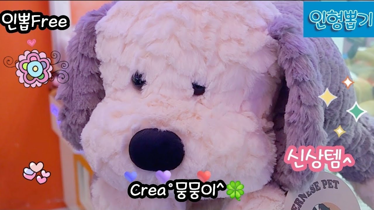 뽑기는 다채롭게 풍성하게^💫 Garfield & Doraemon & SlamDunk & Koala & Gromit ...