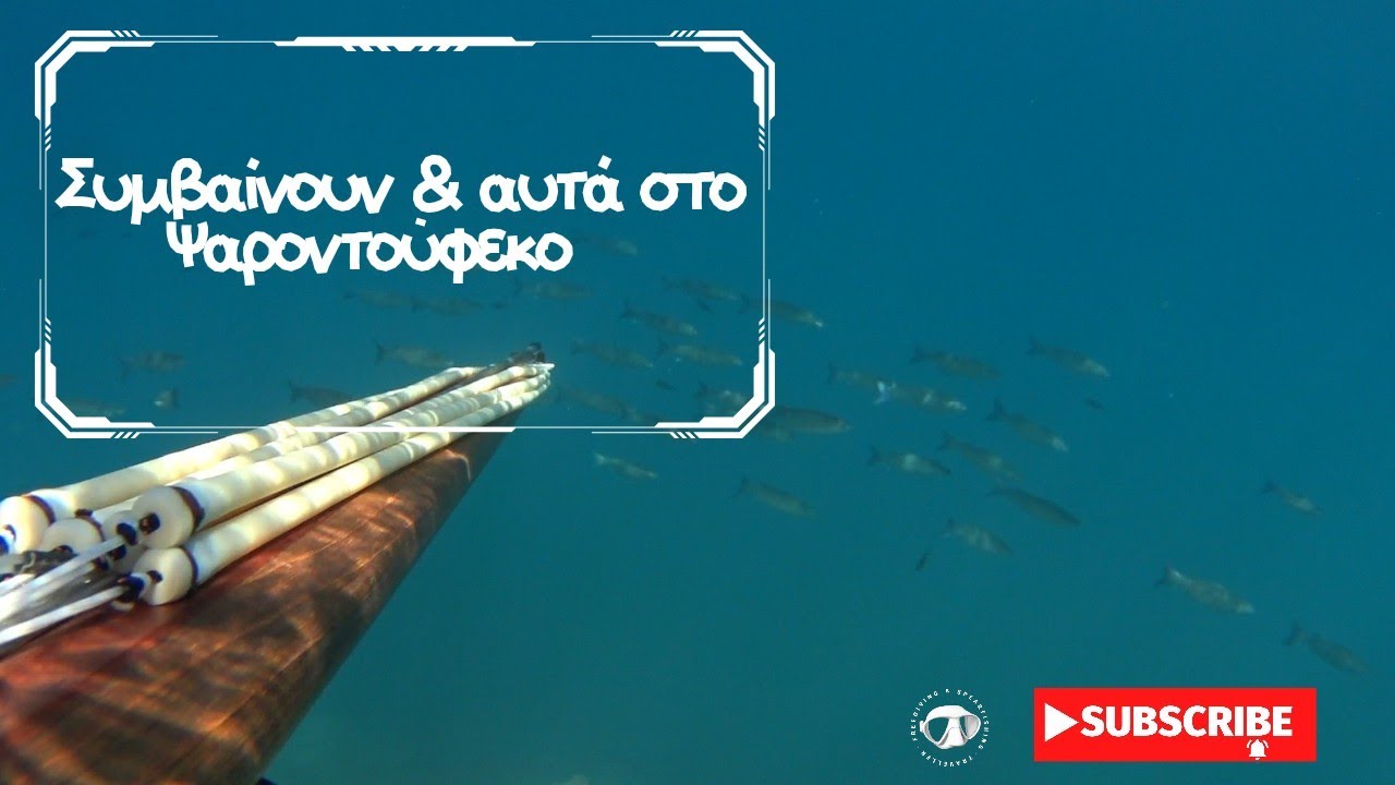 Συμβαίνουν & αυτά στο ψαροτούφεκο 🐟🐟🐟 - YouTube