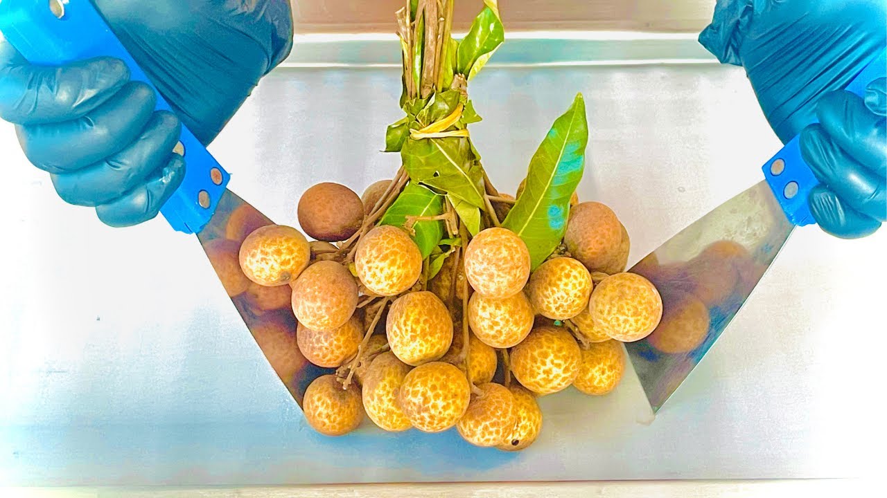 LONGAN FRUIT ice cream rolls ----ice cream cup street - YouTube