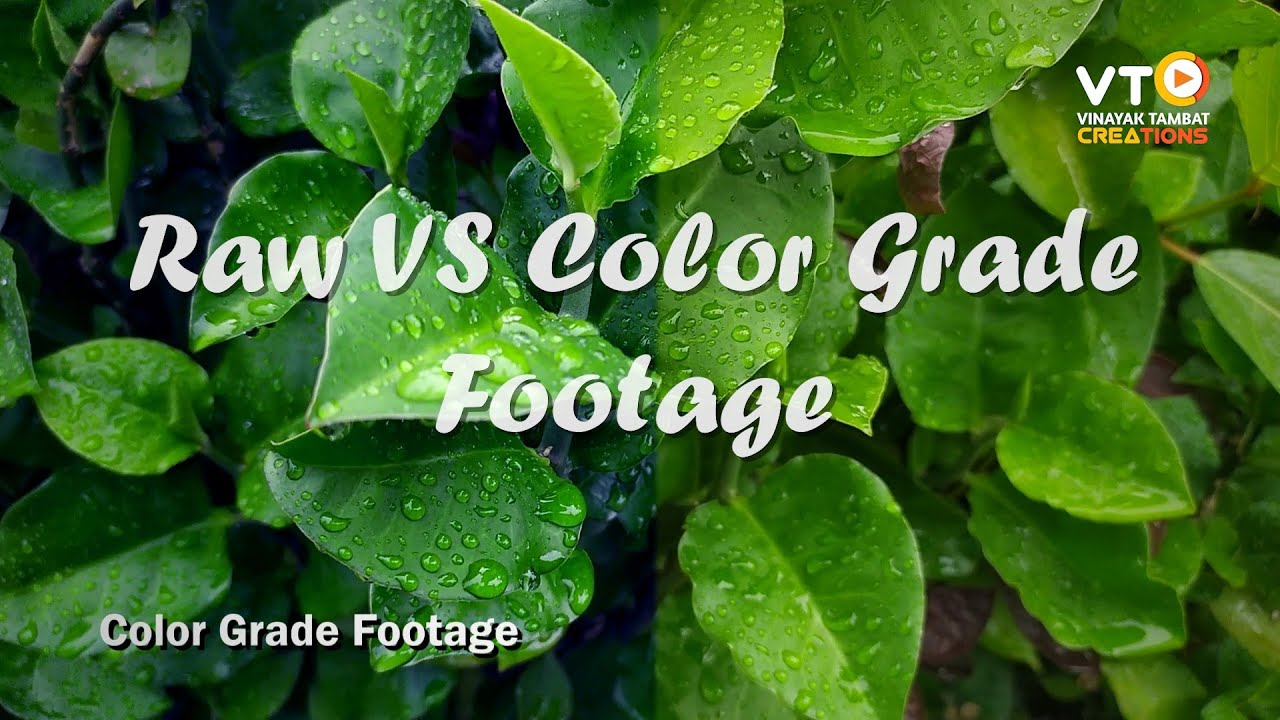 Raw VS Color Grade Footage | Color Grading | Color Correction ...