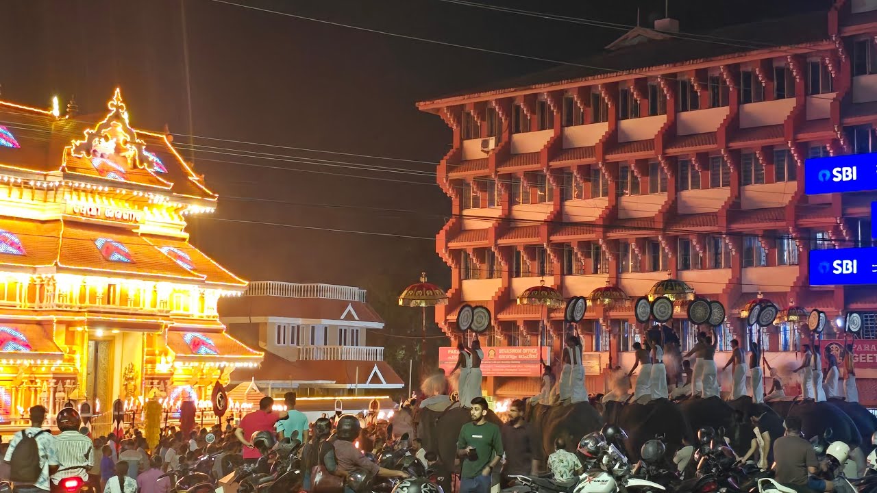 Exploring Thrissur round 🌀🐘 ~ IRL Stream - YouTube